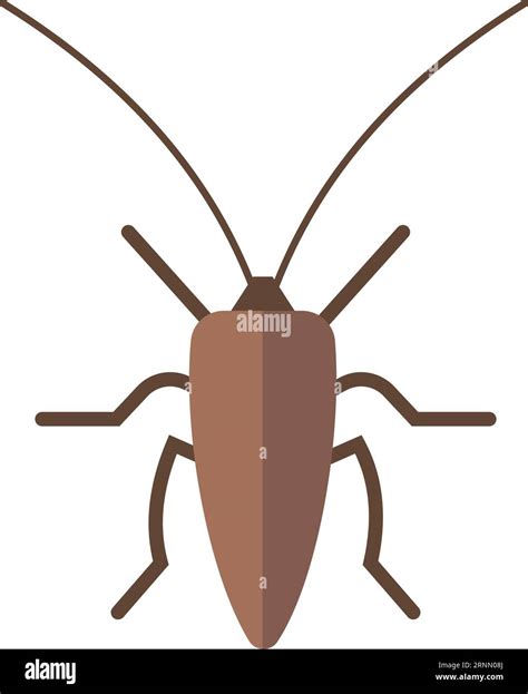 Food Cockroach Stock Vector Images Alamy