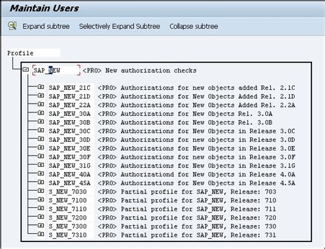 Sap Security System Authorization Concept