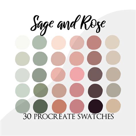 Procreate Palette Swatches Procreate Color Palette Soft Colours