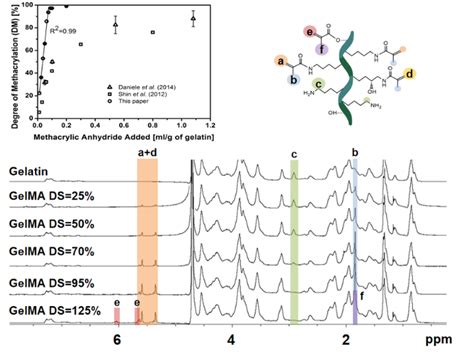 Gelma和hama光固化水凝胶的性能与应用 知乎