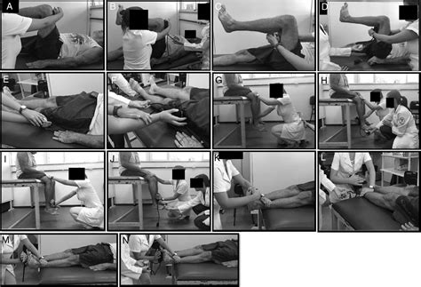 Knee Extensor Muscles Strength Indicates Global Lower Limb Strength In