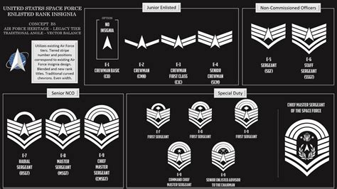 Us Space Force Enlisted Rank Insignia Concept B5 By Profjh On Deviantart