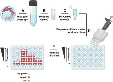 Antibiotic Susceptibility Testing Using Minimum Inhibitory