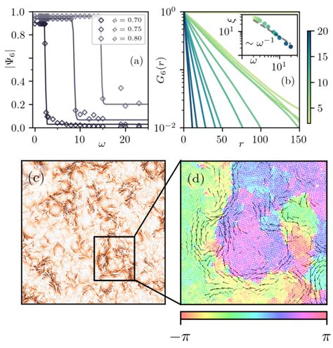 A Global Hexatic Order Ψ6 As A Function Of ω At Fixed Kbt 035