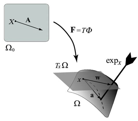 Illustration Of The Surface Kinematics And The Exponential Cauchy Born Download Scientific