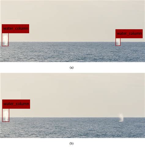 Comparison Of Small Water Column Detection Results A Yolov4 Download Scientific Diagram