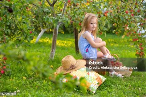 사과 과수원에 있는 아이들의 초상화 사과의 수확 중 벤치에 앉아 파란색 줄무늬 드레스를 입은 어린 소녀 가구에 대한 스톡 사진 및 기타 이미지 Istock