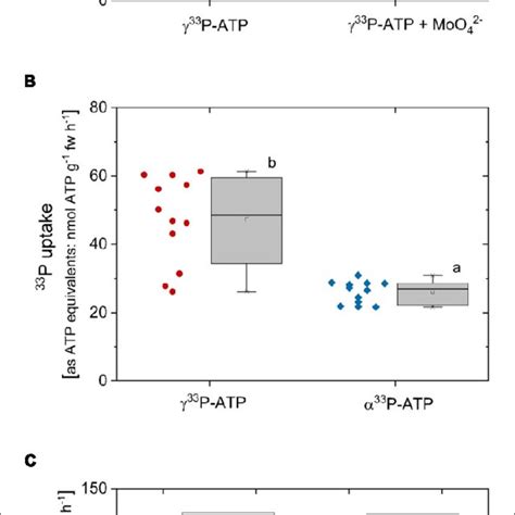 Continued γ 33 P ATP or α 33 P ATP 0 169 mM 4 2 10 7 to 6 4 10 Download Scientific