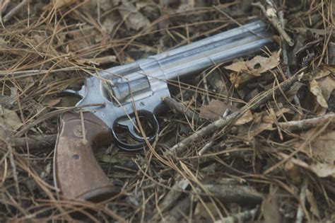 colt python the walking dead tv wiki fandom powered by wikia