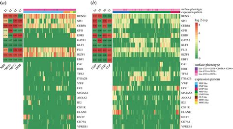 Cell Types Predicted In The Dynamical Model Reproduced From Scrna Seq Download Scientific