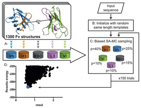 abpredict a method for combinatorial backbone modeling of antibodies