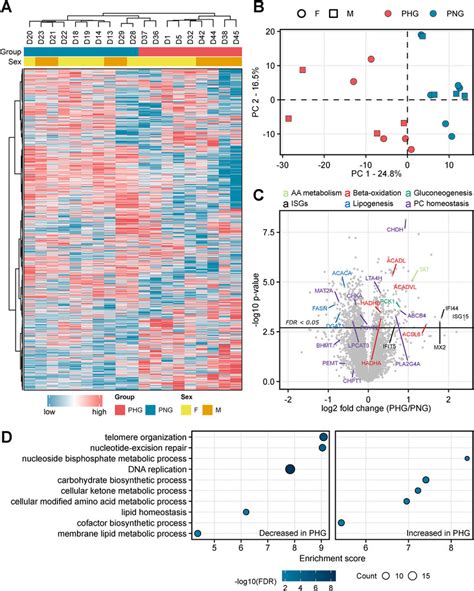 Overview Of Proteome Differences In The Liver From Hyperglycemia Download Scientific Diagram