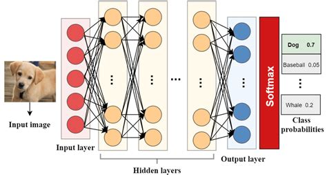 Schematic Structure Of Dnns The Example Of An Image Classification Download Scientific Diagram