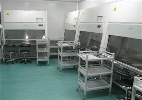 生物安全实验室等级划分（生物实验室做什么实验） 知乎