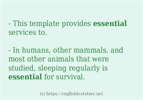 Sentence Example Of Essential Englishteststore Blog