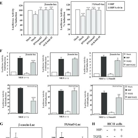 Stat5 Phosphorylation And Translocation To The Nucleus Is Unaffected By