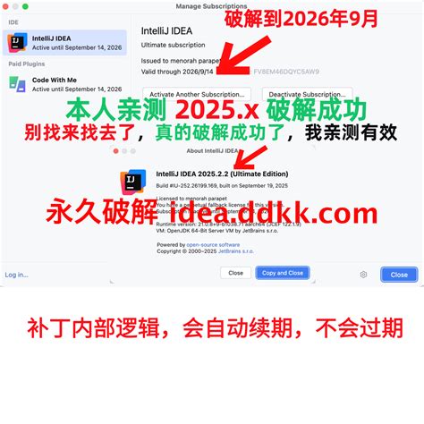 Intellij Idea 2025 1 激活教程 Idea 破解、激活码下载与补丁安装全攻略