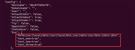How To Set Docker Environment Variables
