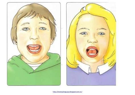 Өгүүлэхүүн эрхтэн хөгжүүлэх Монтессори хөгжлийн төв