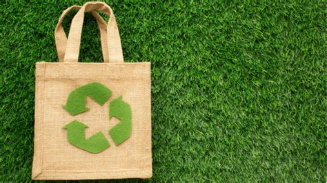 Eco Friendly Bags Benefits Wholesale And Research