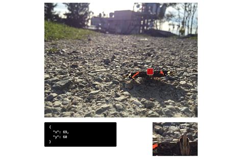 Vue Focuspoint Component Set Focus Points On Elements Made With Vuejs