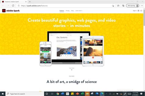 Adobe Sparks Graphic Women S Non Profit Alliance