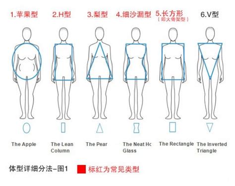 12种体型分析你属于哪种