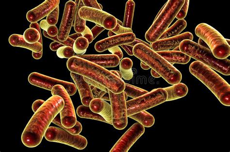 细菌志贺氏菌哪一个原因食物由携带的传染志图片 包图网企业站