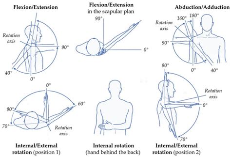 Range Of Motion Shoulder Exercises