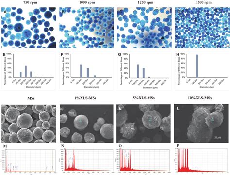 Microscopic Observation A D And Diameter Analysis E H Of The