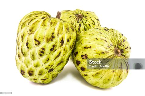 신선한 커스터드 애플 또는 익은 설탕 사과 과일 격리 클리핑 패스 잘 분기에 흰색 바탕에 나무 또는 관목 식용 과일 건강 한 곰 식 태국 과일 0명에 대한 스톡 사진 및