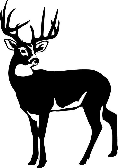 Pin By Sonya Kopp On Hunting Svg Deer Stencil Deer Hunting Decal