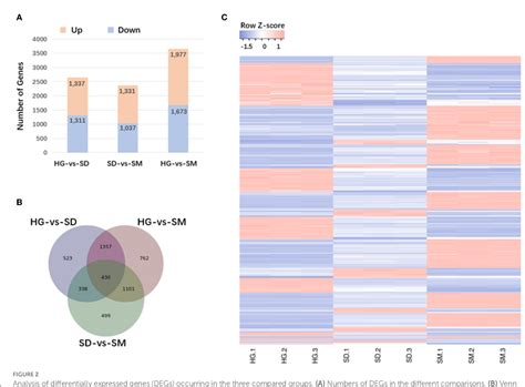 Figure 2 From Transcriptomics Combined With Metabolomics Unveiled The