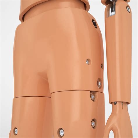 여성 자동차 충돌 더미 03 3d 모델 59 Max Fbx Obj Free3d 여성 자동차 충돌 더미 03 3d 모델 59 Max Fbx Obj Free3d