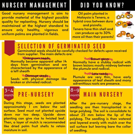 Nursery Is One Of An G Planter Your Perfect Partner