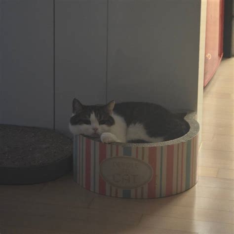 이아린💋 Ahrin 😶‍🌫️물놀이 준비 Redbikini 비키니 사진영상 더보러 라이키 ️구독하러 오세용 Instagram