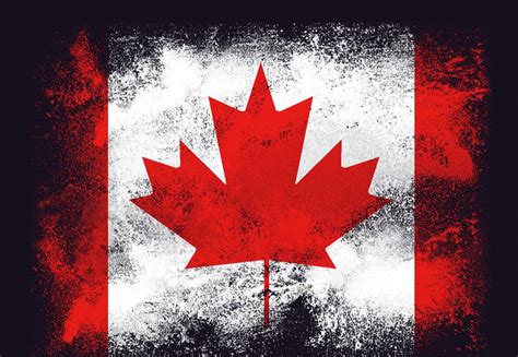 New Express Entry Draw Today Invites 667 Pnp Profiles