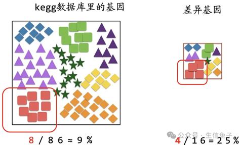 富集分析 Kegg Go 知乎
