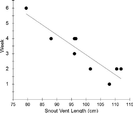 A Sex Difference In Mean Daily Movements SEM Of Crotalus O Download Scientific Diagram