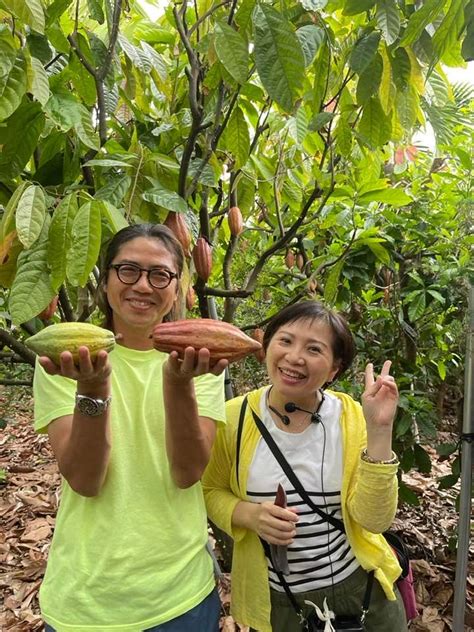洪誼靜 🎵 在什麼樣的花園裡面挖呀挖呀挖 種什麼樣的種子開什麼樣的花 🌺 種下可可種子 長出小小的花