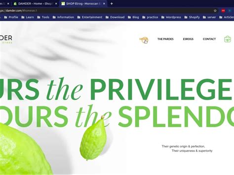 A Shopify Business Store Upwork