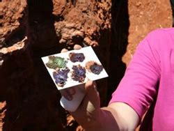 New Soil Guide Gets Down And Dirty PS News