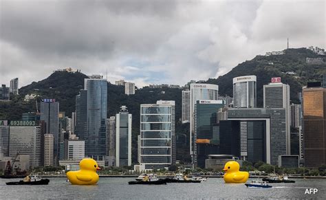 In Pics Hong Kongs Giant Rubber Duck Deflated Due To Intense Heat