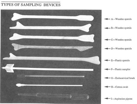 Module Pap Smear Collection Fixation Staining Flashcards Quizlet