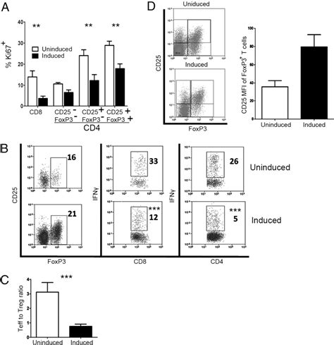 Figure 6 From Inducible Adeno Associated Virus Mediated Il 2 Gene