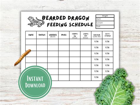 Best Bearded Dragon Food Brand At Michael Robin Blog