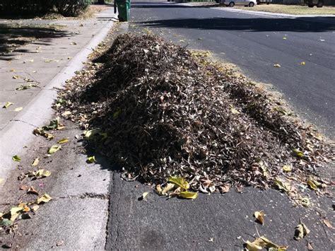 Chico Leaf Pickup Begins Friday Chico Enterprise Record