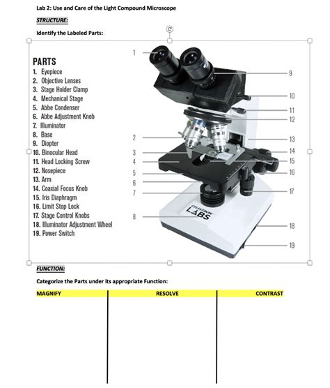 Identify The Parts Of Compound Light Microscope Quizlet Shelly Lighting