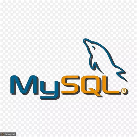 Php Mysql Html级联样式表数据库 Oracle应用程序开发框架png图片素材下载图片编号3178625 Png素材网
