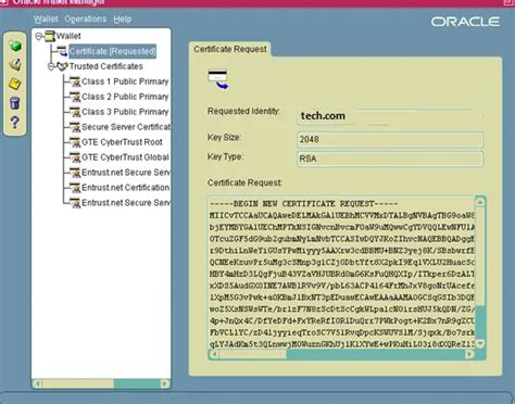 Enabling Ssl Or Tls In Oracle Apps R12 Techgoeasy